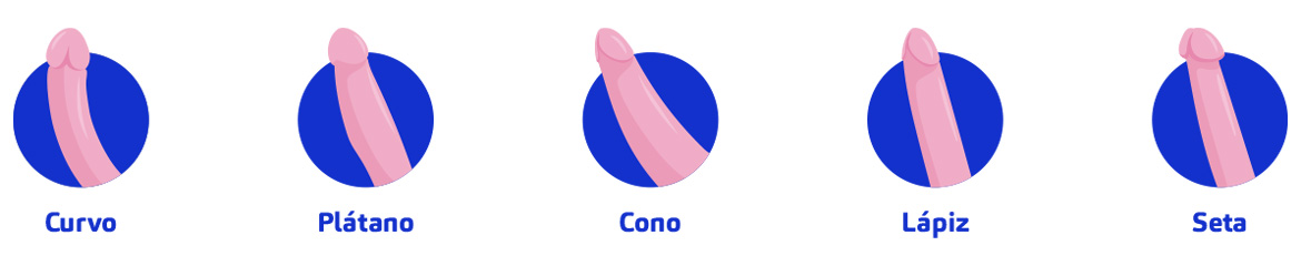 Cuántos Tipos De Pene Existen Fiv Dono Argentina